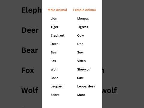 Learn Wild Animal Names: Male vs Female #shorts