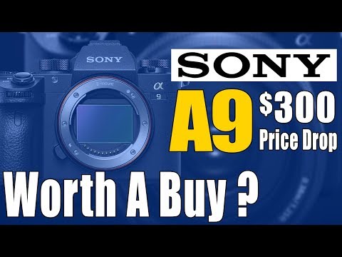Sony A9 Price Drop Is It Worth A Buy vs Sony A7III Full-Frame Mirrorless Camera