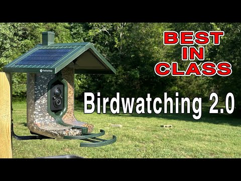 The BEST Bird Feeder by FeatherSnap | Smart Bird Feeder #FeatherSnap #birdfeeder