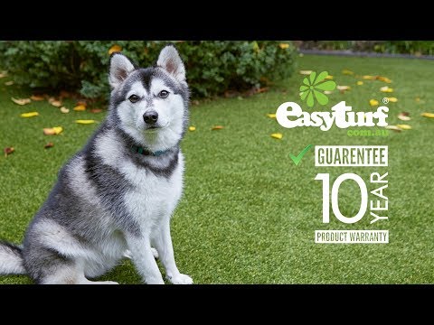 Easy Turf - Pet Friendly Artificial Grass