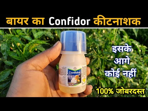 Confidor insecticide || Bayer Confidor details information
