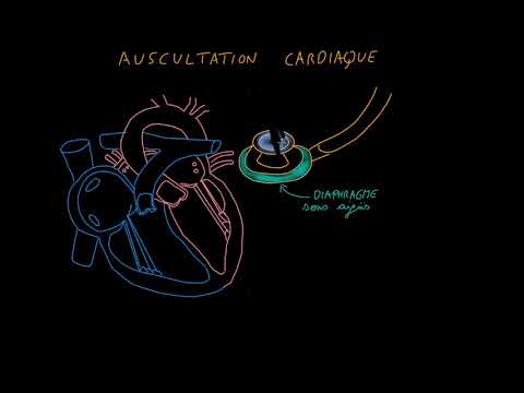 Auscultation cardiaque Partie 1 Introduction Docteur Synapse