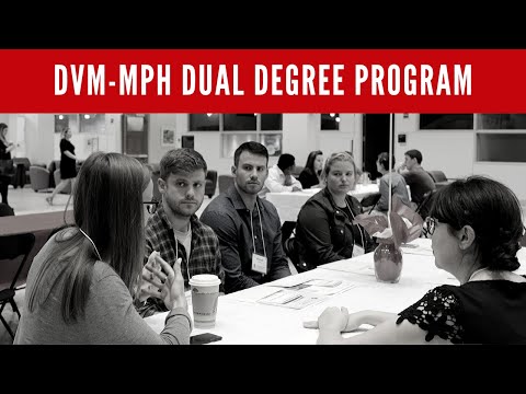 DVM-MPH Dual Degree