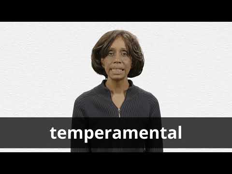 How to pronounce TEMPERAMENTAL in American English