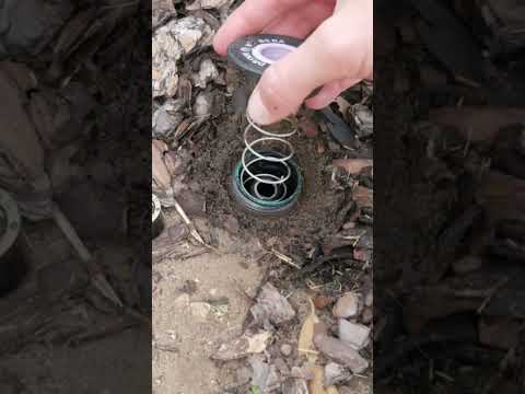 How to Replace a Sprinkler Head Part 1 #shorts #handzforhire #diy