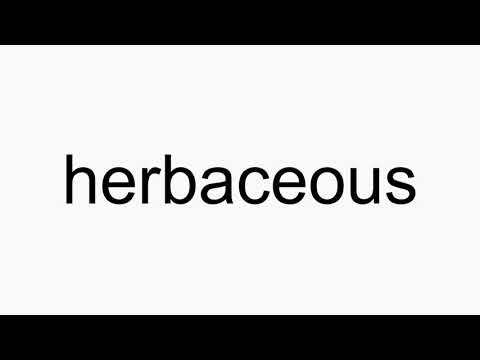 How to pronounce herbaceous