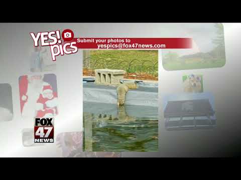Yes! Pics: 4/9/18