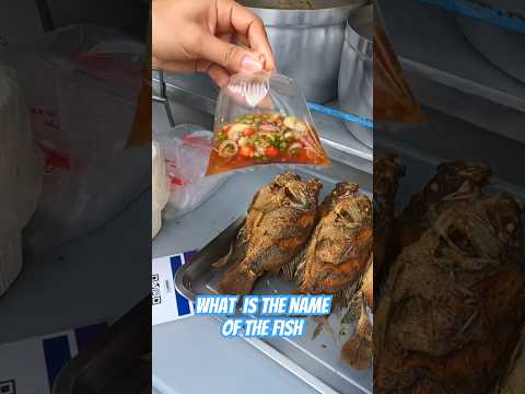 What is the name of the fish? #shorts