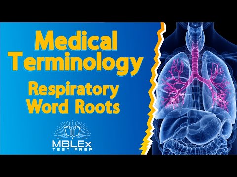 Medical Terminology - Respiratory Word Roots