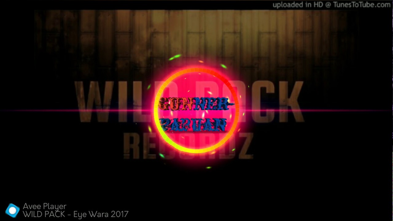 WILD PACK   Eye Wara 2017