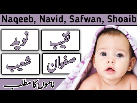 Naqeeb, Navid, Safwan & Shoaib Name Meaning in Urdu & Hindi | Naam Ka Matlab Kya Hota Hai |Urdusy