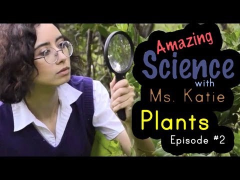 Amazing Plant Facts! Fun Science Facts for children. Homeschool family.