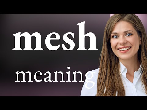 Mesh — MESH meaning