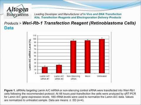 Altogen Biosystems Weri-Rb-1 Transfection Reagent