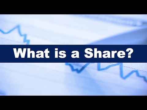 What is a Share?
