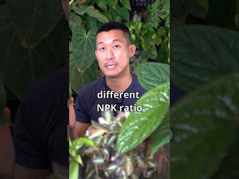 Understanding Fertilizer Basics | NPK Explained