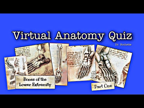 Virtual Anatomy Quiz - Bones of the Lower Extremity (Part One)
