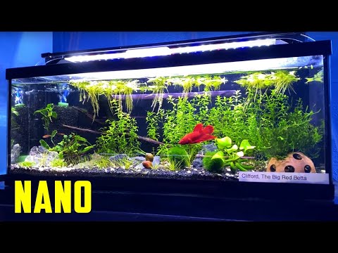 Anyone has photos of the long nano tank that was in front of the cash ...