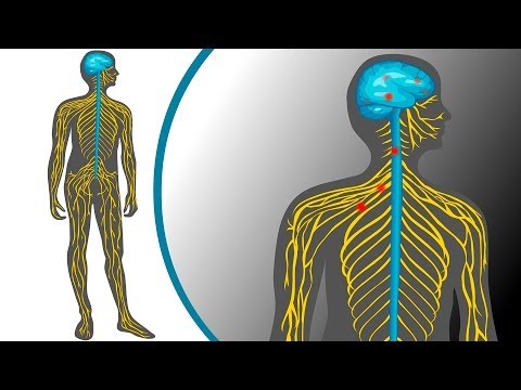 Action potential in the brain