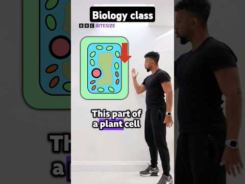 Biology Class - Plant Cell Specialisation