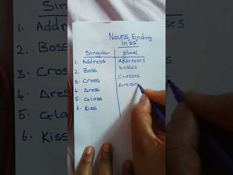 SINGULAR AND PLURAL NOUNS THAT END WITH THE LETTER "SS"