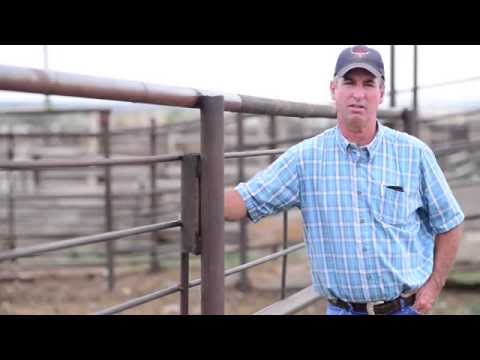 Brett Whittier | Bid on Building Friendships