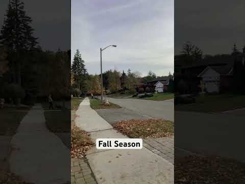 Fall Season 2024