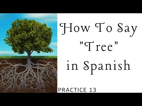 How To Say "Tree" In Spanish - Learn Spanish
