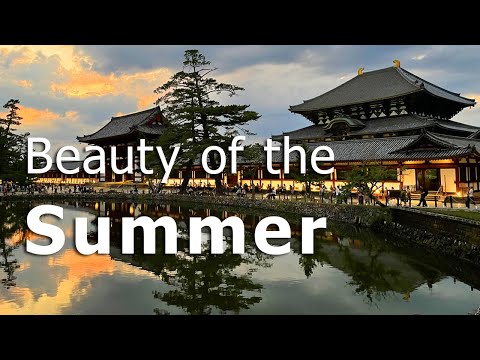 Impressions of the Summer - Easiness and Beauty of the Warm Season
