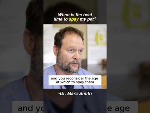 Spaying Your Dog: What Vets Don’t Tell You by Marc Smith, DVM, MS
