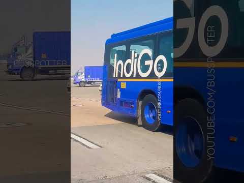 Airport Buses #busspotting #whatsappstatus
