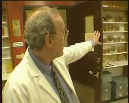 Pathology Today