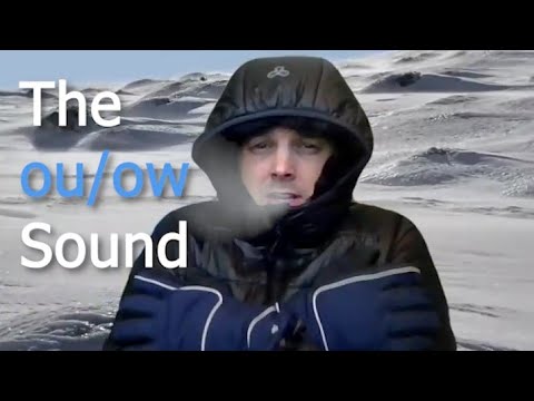 Wonders First Grade Unit 5 Week 4: ou, ow at the South Pole!