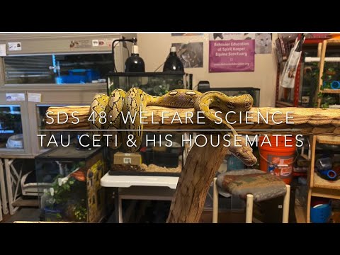SDS 48: What is Welfare Science?