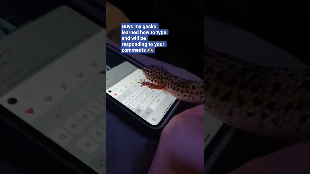 You can request him to use emojis, too! #fyp #funny #cute #gecko #pets #lizard #trend