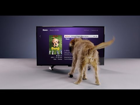 Roku voice search is so easy – even a dog can do it!