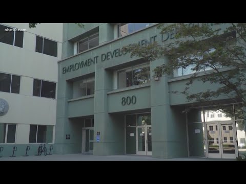 EDD begins verification process for suspended accounts | Dollars and Sense