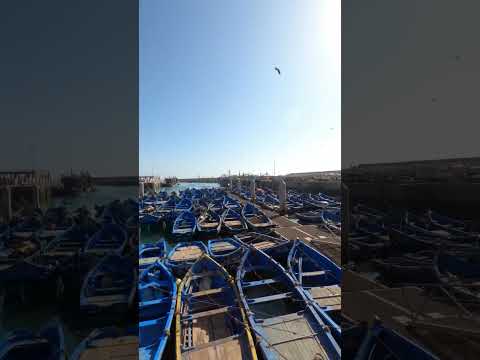 good morning from essaouira city it has another name called mogador #morocco #essaouira #mogador