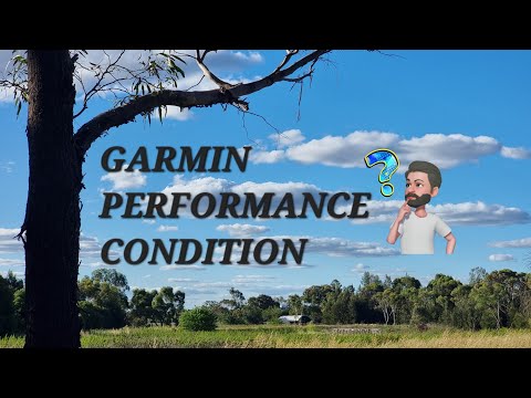 Garmin Performance Condition