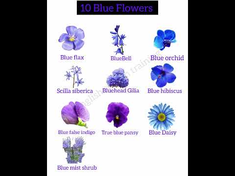Blue flowers name #viral #shorts
