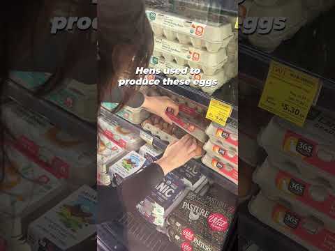 Spread The Truth About Misleading Egg Labels