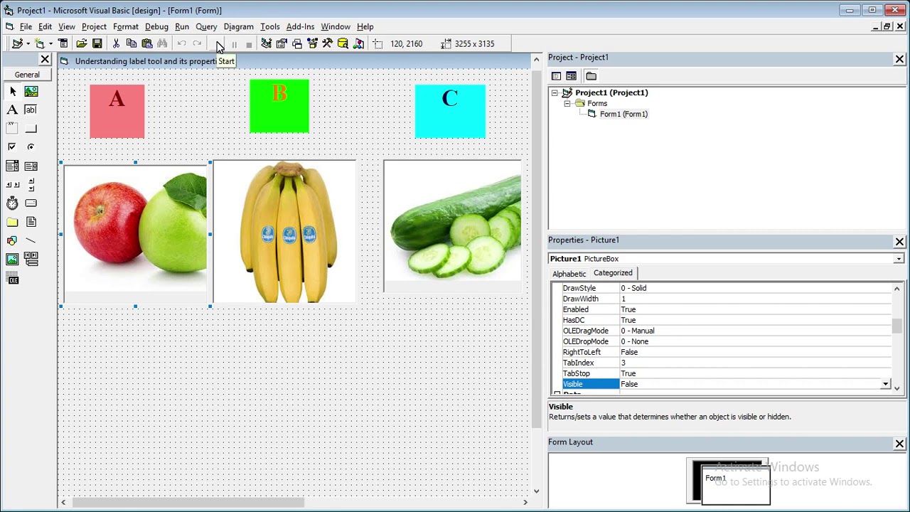 Understanding label and its properties in VB6