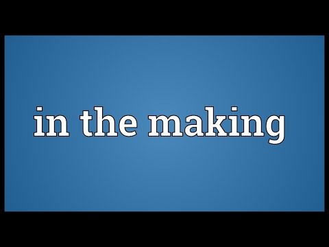 In the making Meaning