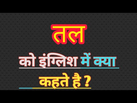 तल का इंग्लिश मतलब | Tal ka english meaning || Bottom meaning in hindi