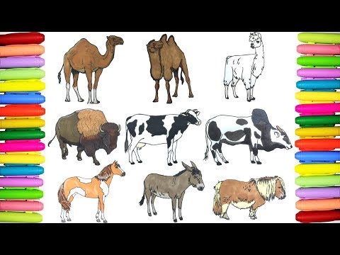 Farm animals colouring book