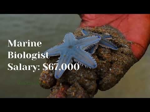 $67,000 Marine Biologist Salary - Job Info