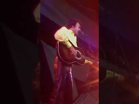 "Longfellow Serenade" - Neil Diamond LIVE (Shorts)