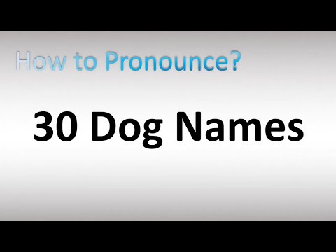Pronounce Dog Breed Names