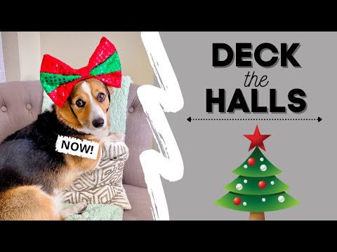 Dog Decorates for CHRISTMAS! #cute #holiday
