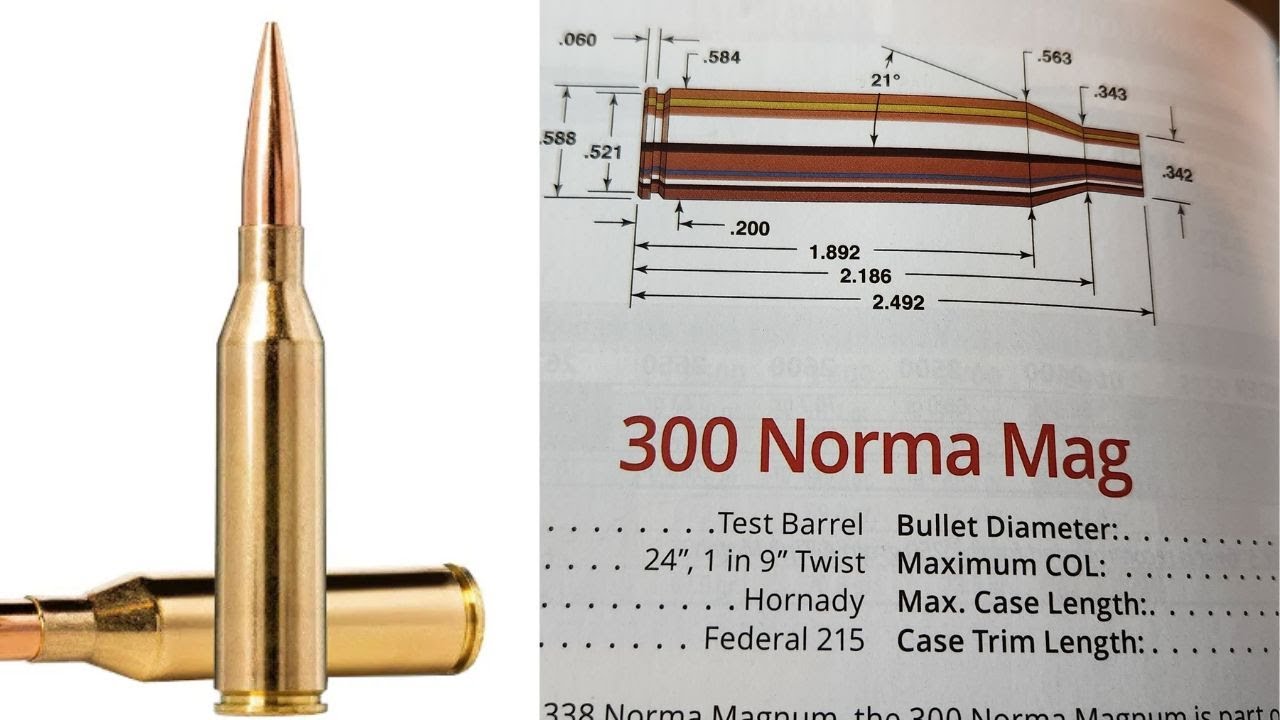 300 Norma Mag: Best Sleeper round